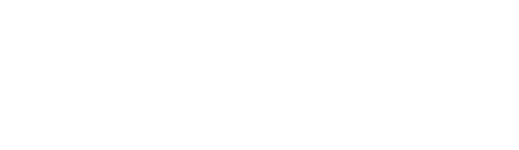 Programma Overzicht Eindhoven Backyard